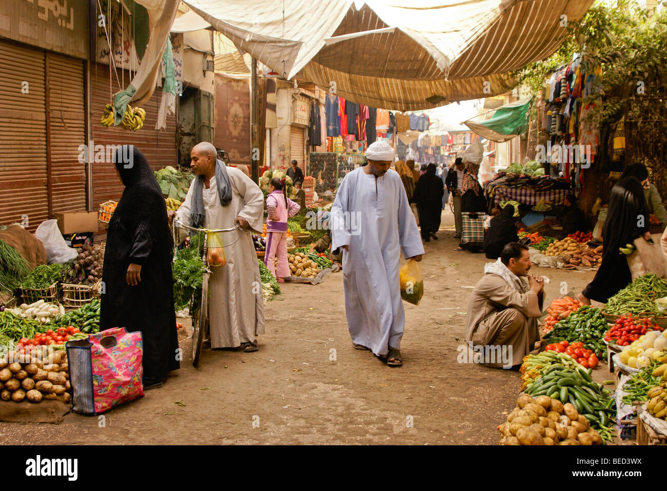Femme egypte marché Banque de photographies et d’images à haute ...