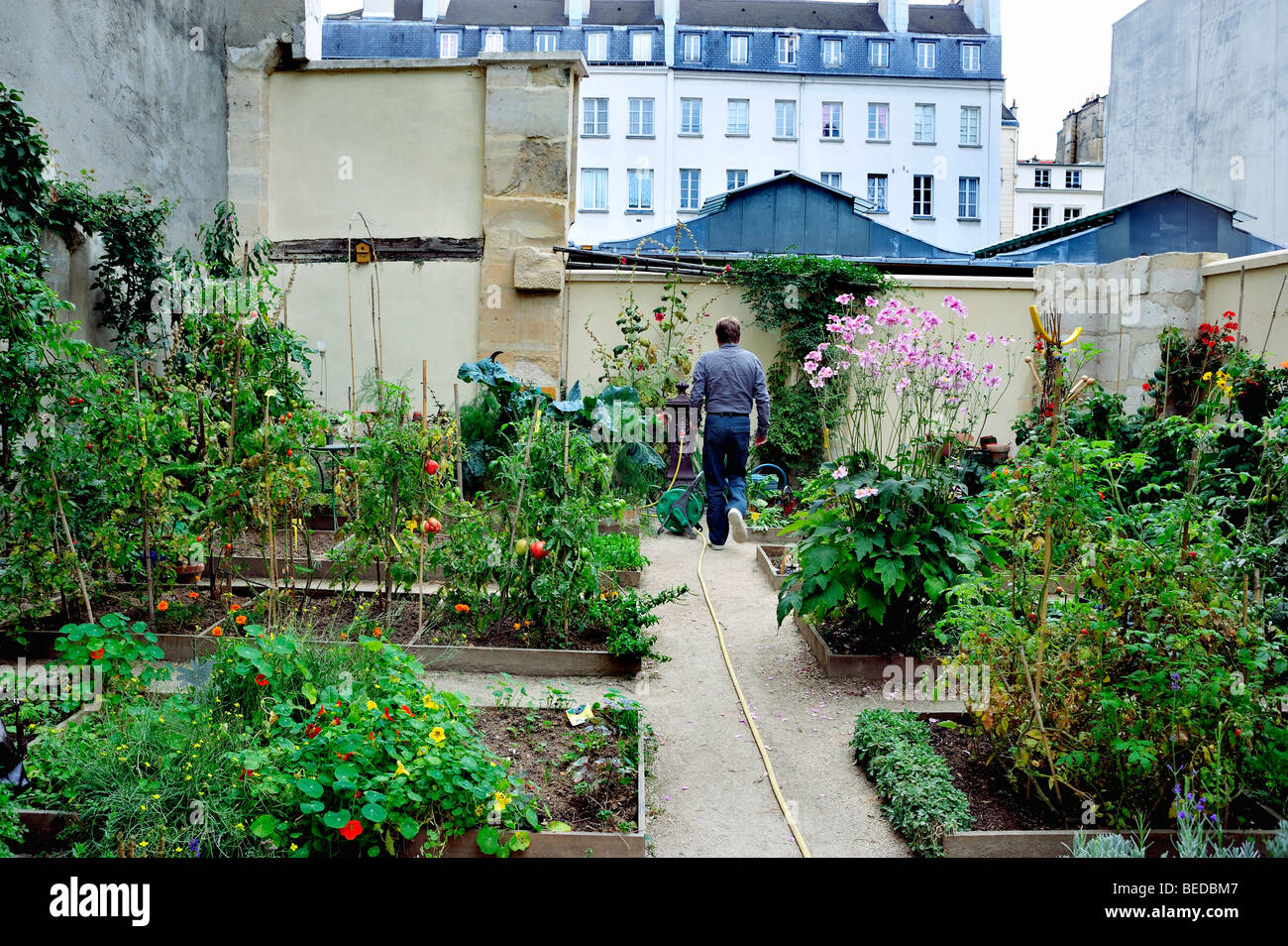 Paris, France - Homme visitant le jardin communautaire dans le quartier ...