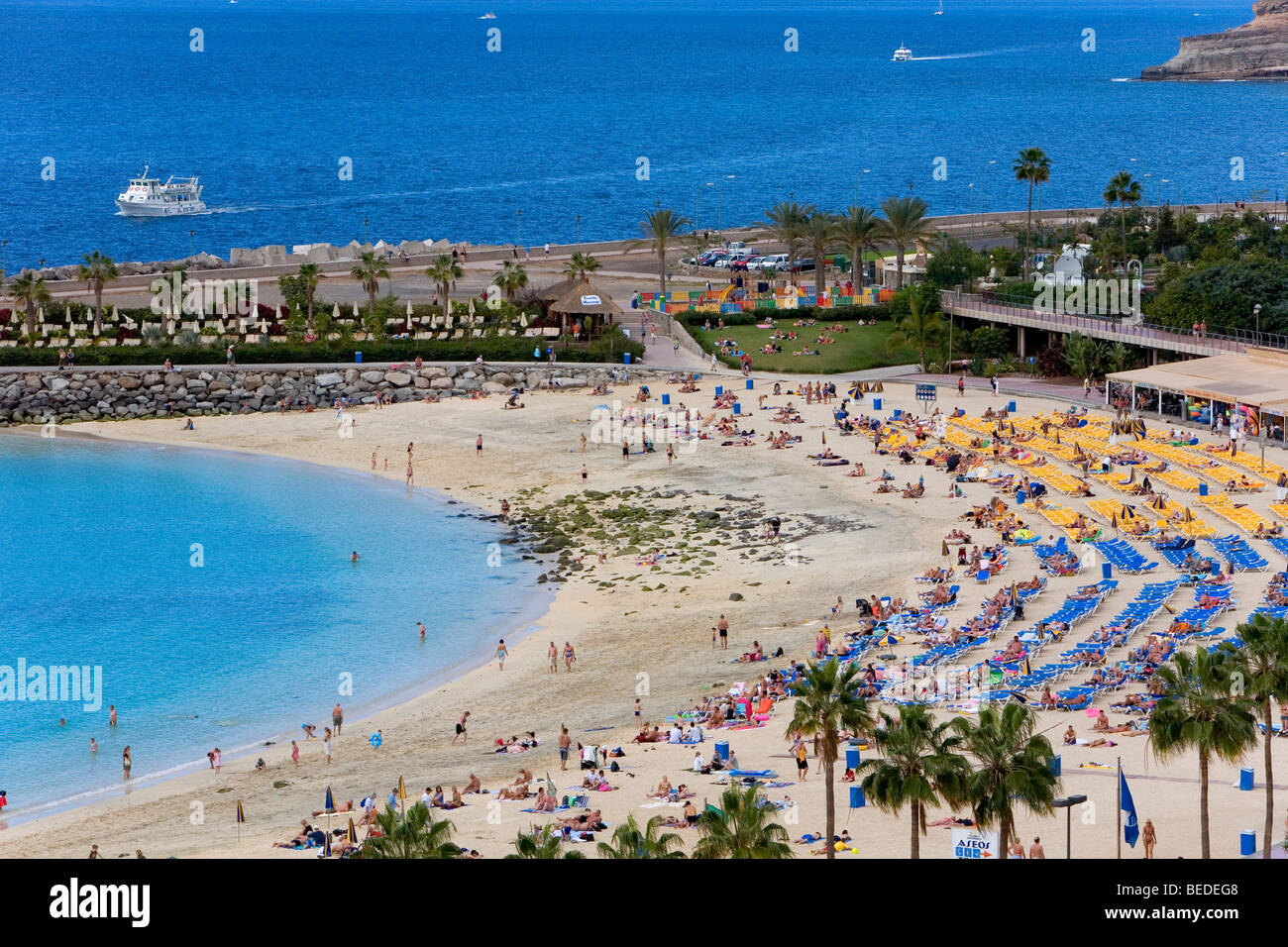 Grand canaries Banque de photographies et d’images à haute résolution ...