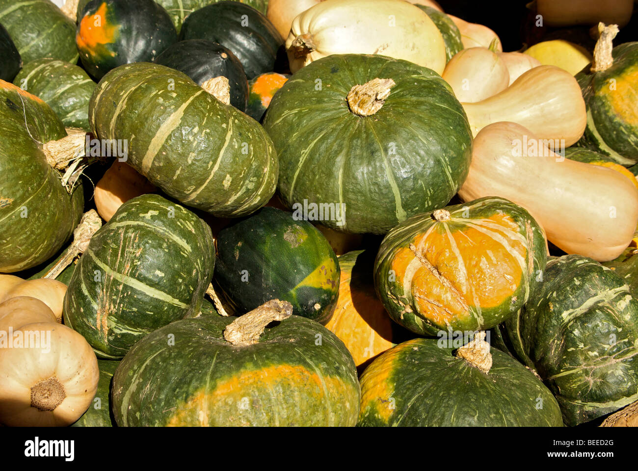 Variétés de courge Banque de photographies et d’images à haute ...