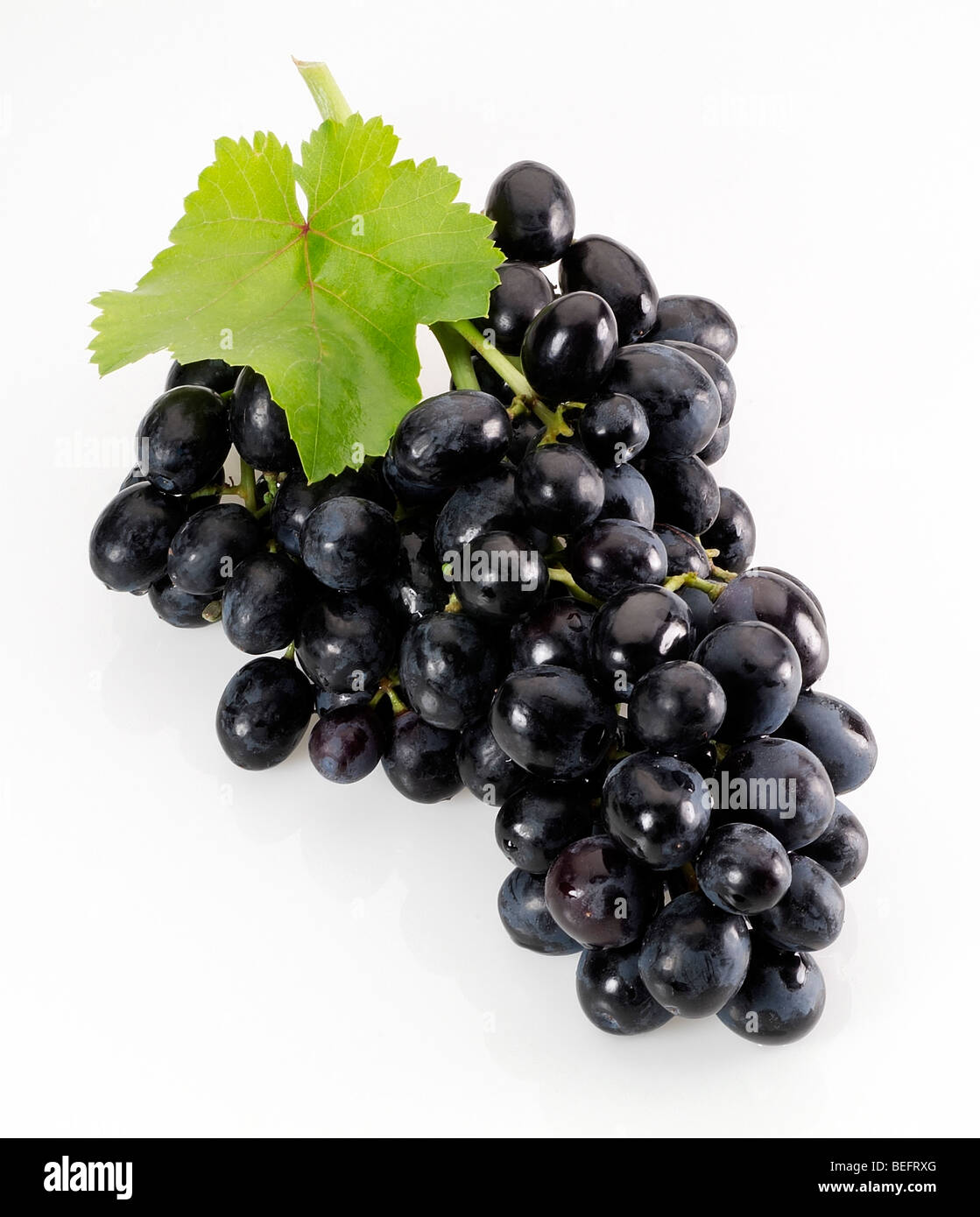 Raisins noirs Banque de photographies et d’images à haute résolution ...