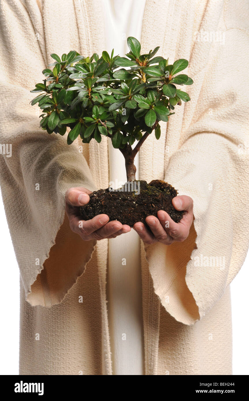 Jesus plant tree Banque de photographies et d’images à haute résolution ...
