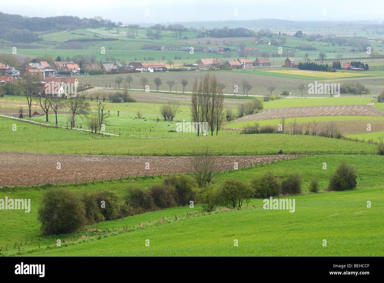 Bocage landscape with hedges and trees Banque de photographies et d ...