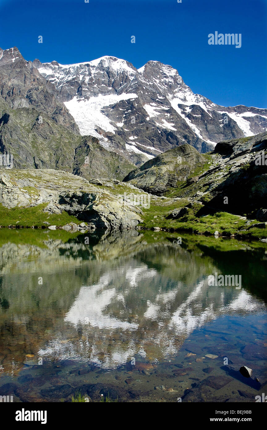 Perroquet punta et punta gnifetti Banque de photographies et d’images à ...