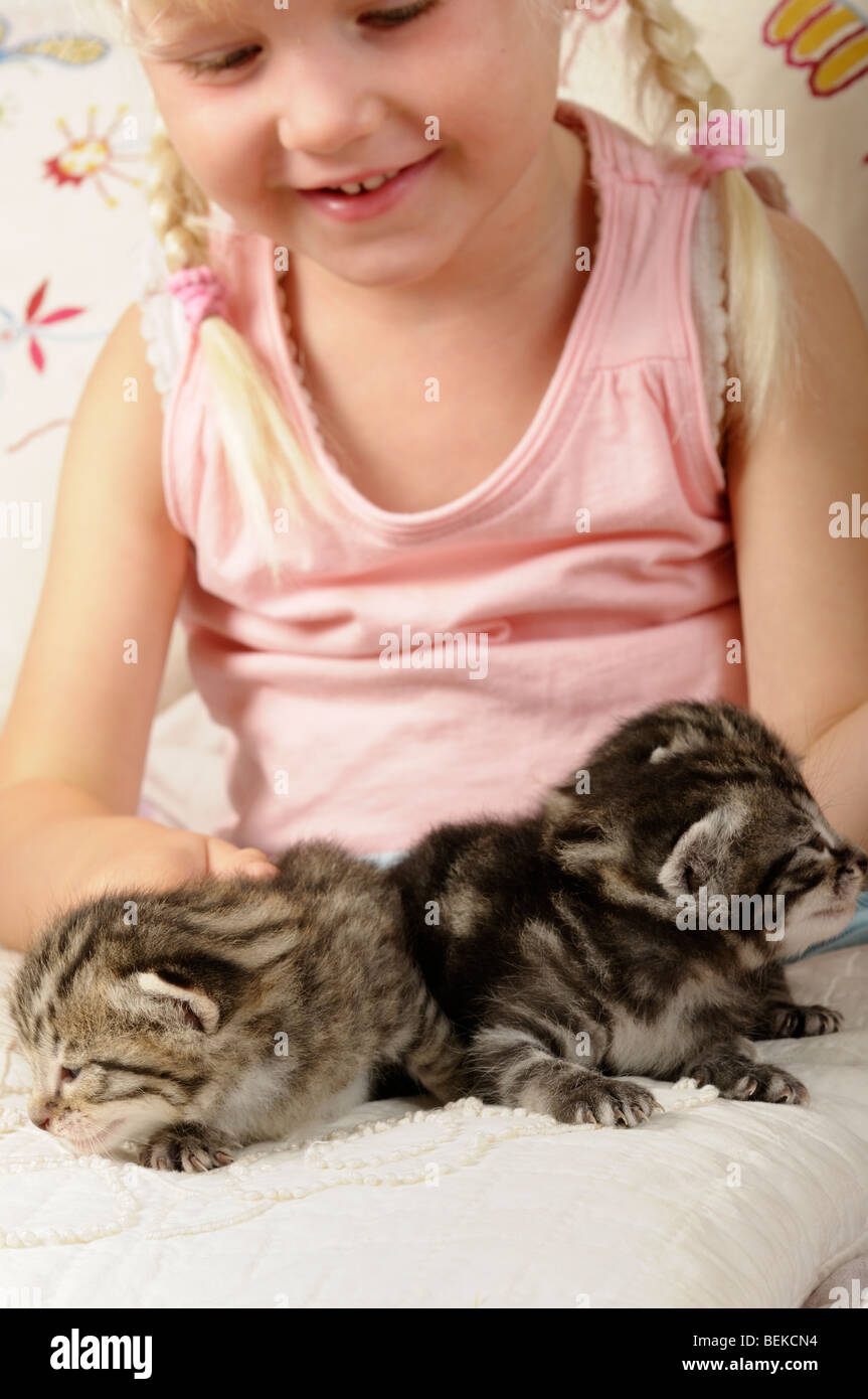 Stock photo d'une petite fille de 4 ans jouer avec ses chatons Photo ...