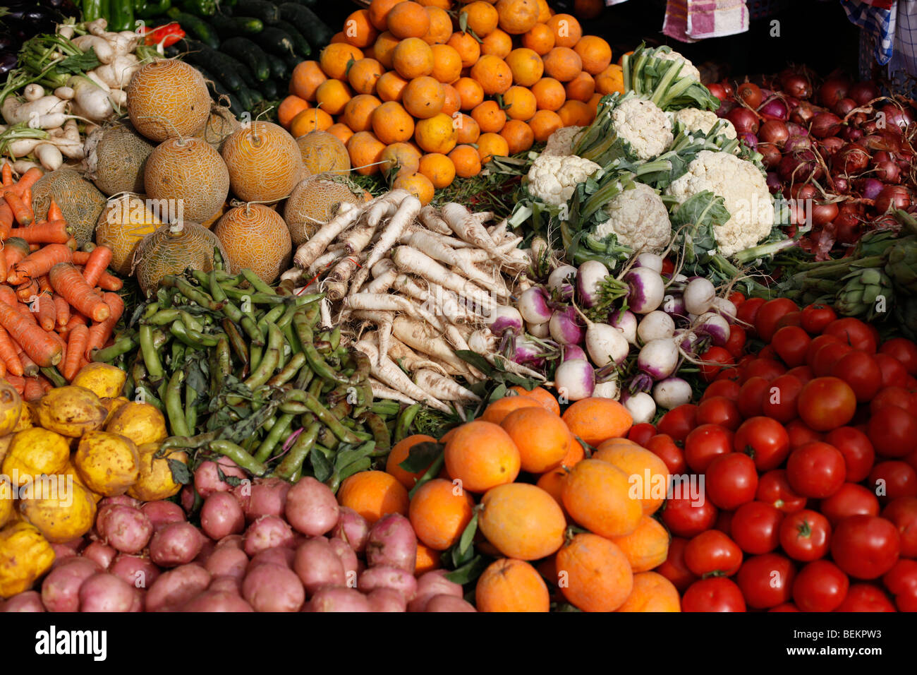Marrakesh tannery Banque de photographies et d’images à haute ...