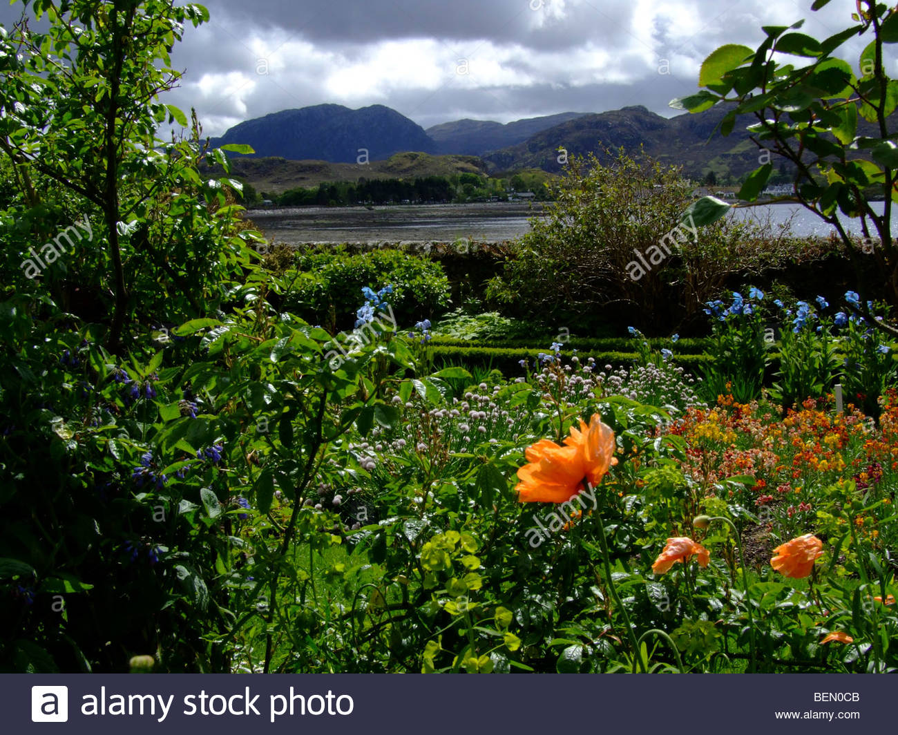 Osgood Mackenzie Banque d'image et photos - Alamy