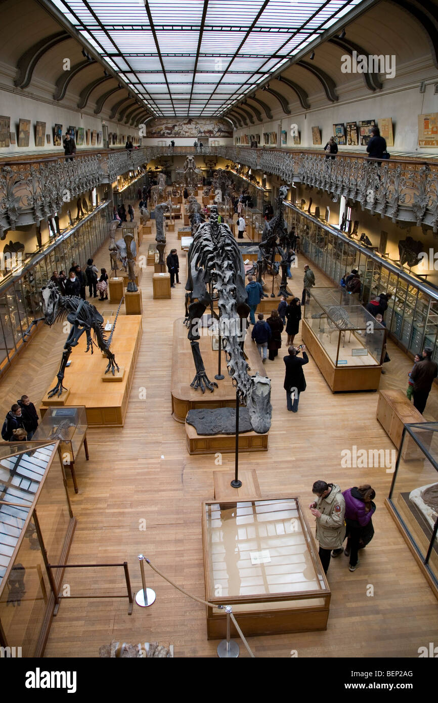 Museum paris anatomy natural Banque de photographies et d’images à ...