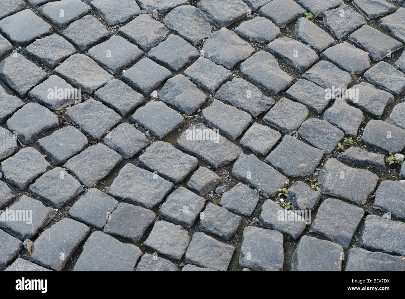 Cobblestoned road Banque de photographies et d’images à haute ...