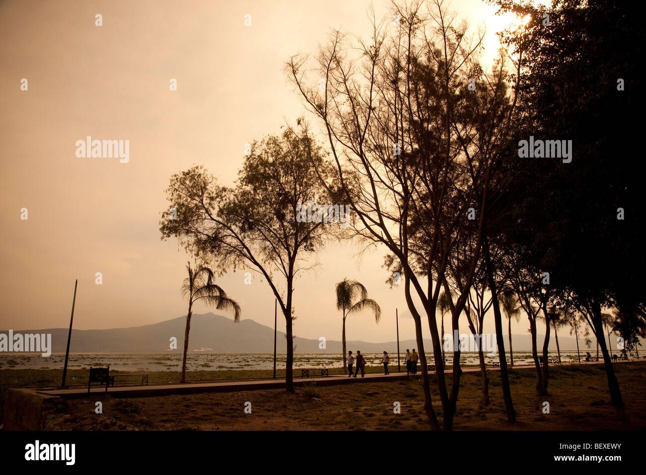 Ajijic chapala jalisco mexico Banque de photographies et d’images à ...