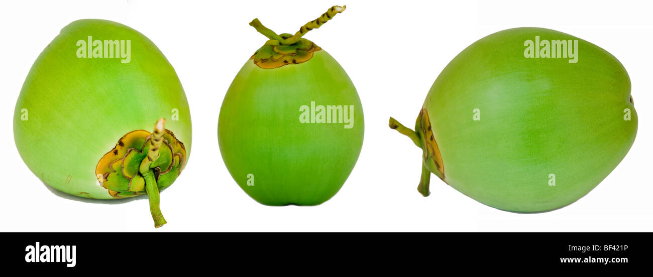 Noix de coco Banque de photographies et d’images à haute résolution - Alamy