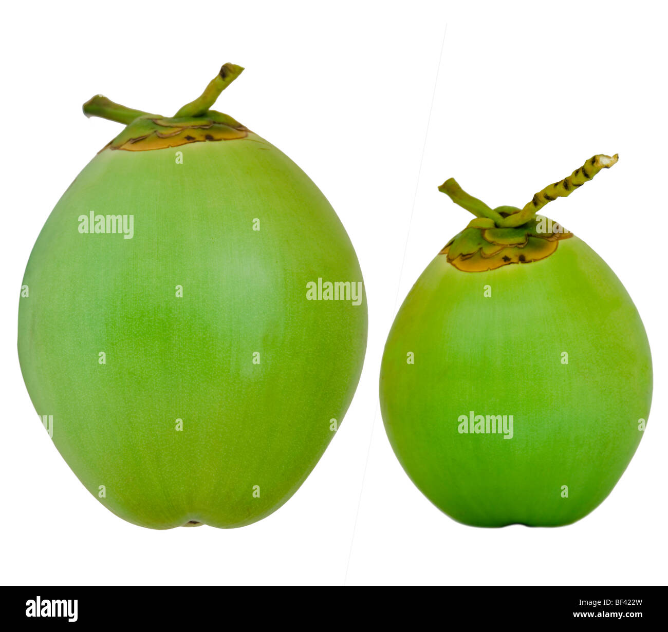 Noix de coco Banque de photographies et d’images à haute résolution - Alamy