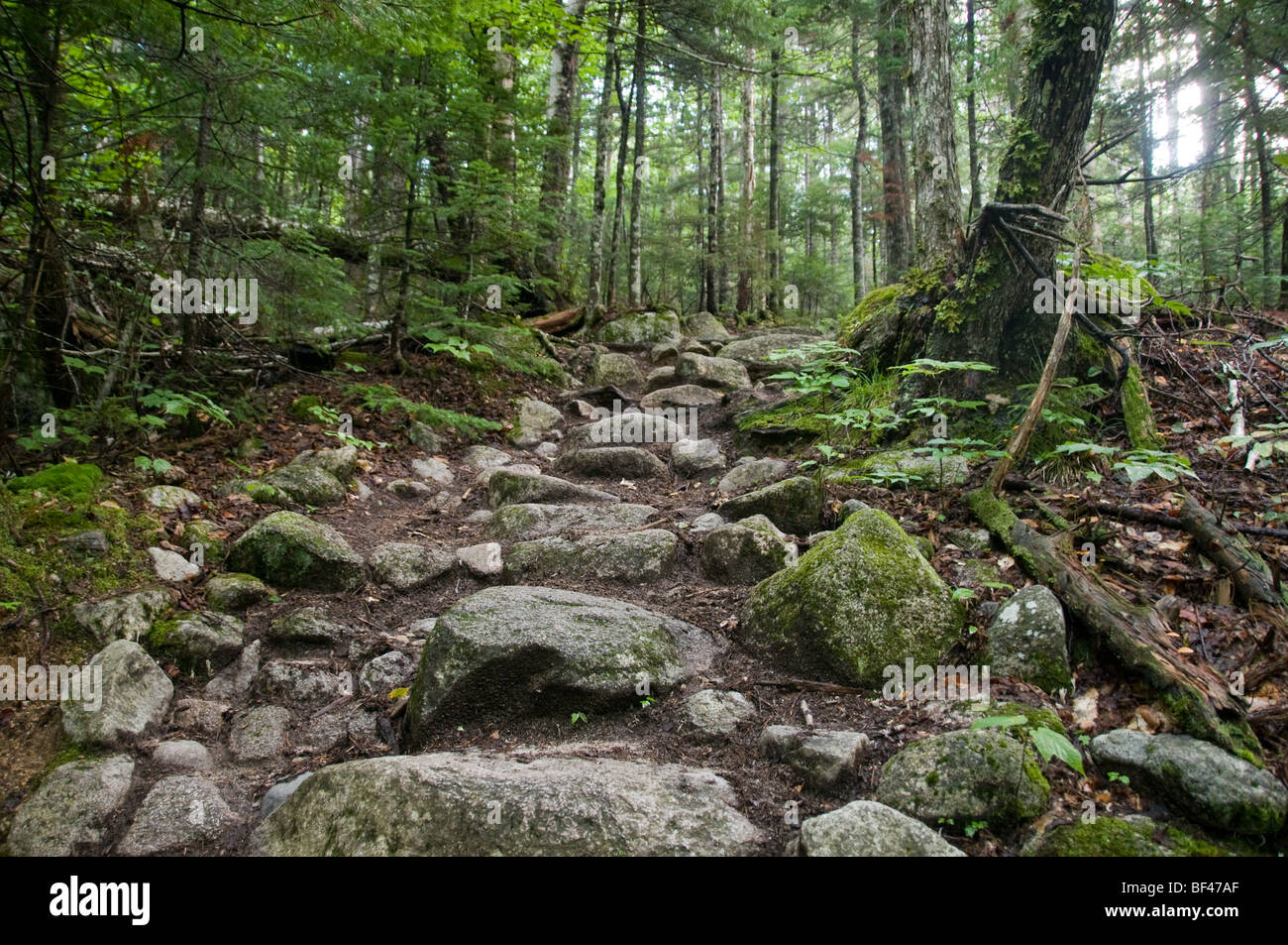 Sentier des Appalaches point final sur le mont Katahdin, Baxter State ...