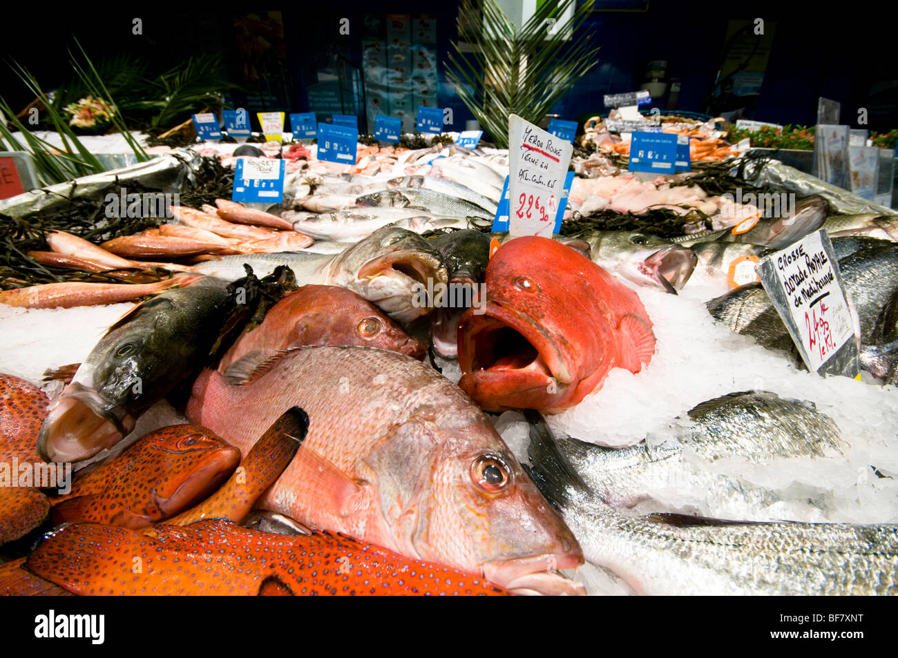Comptoir de poissons, supermarché français Photo Stock - Alamy