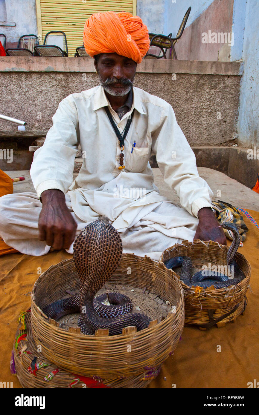 Cobra inde turban Banque de photographies et d’images à haute ...