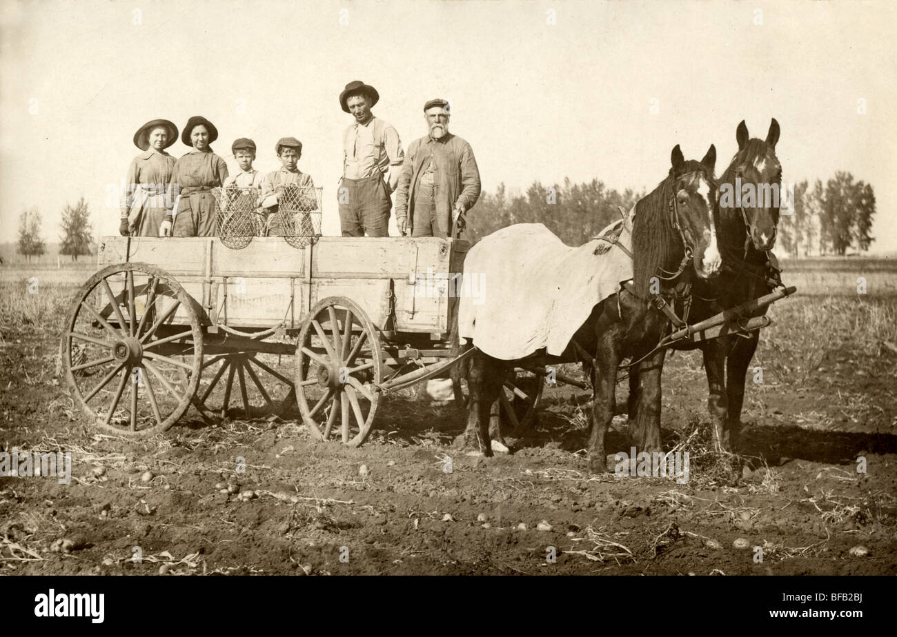 Charrette tirée par des chevaux Banque de photographies et d’images à ...