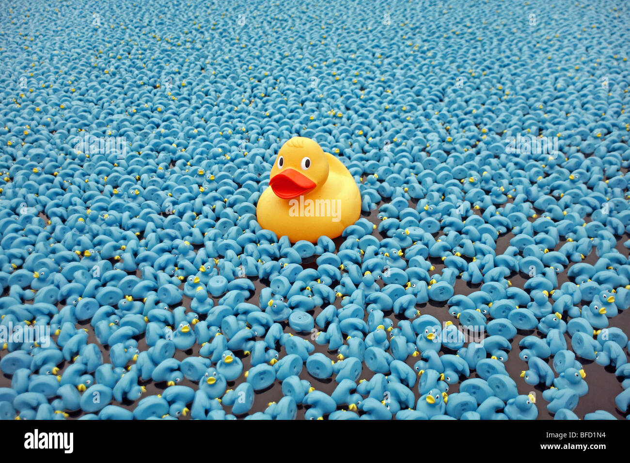 Jouet canard en plastique Banque de photographies et d’images à haute ...