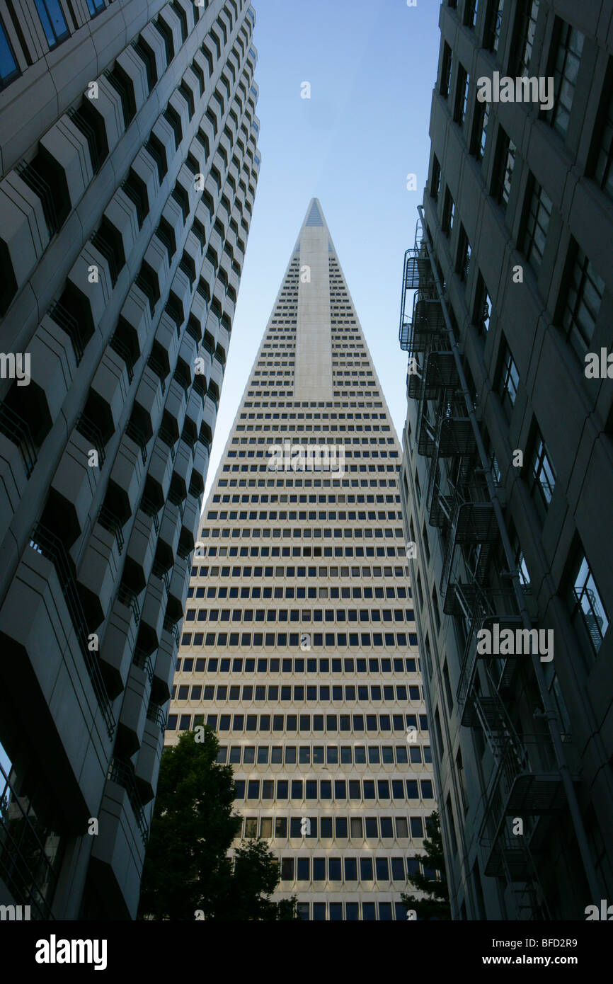 Edificio de la pirámide de trans america Banque de photographies et d ...