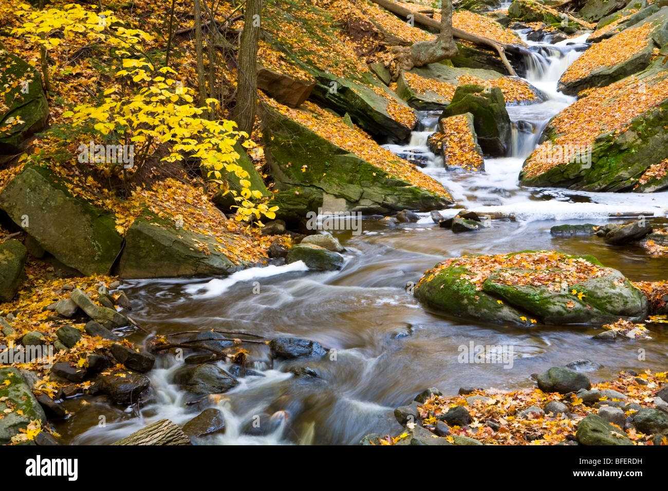 Escarpement niagara Banque de photographies et d’images à haute ...