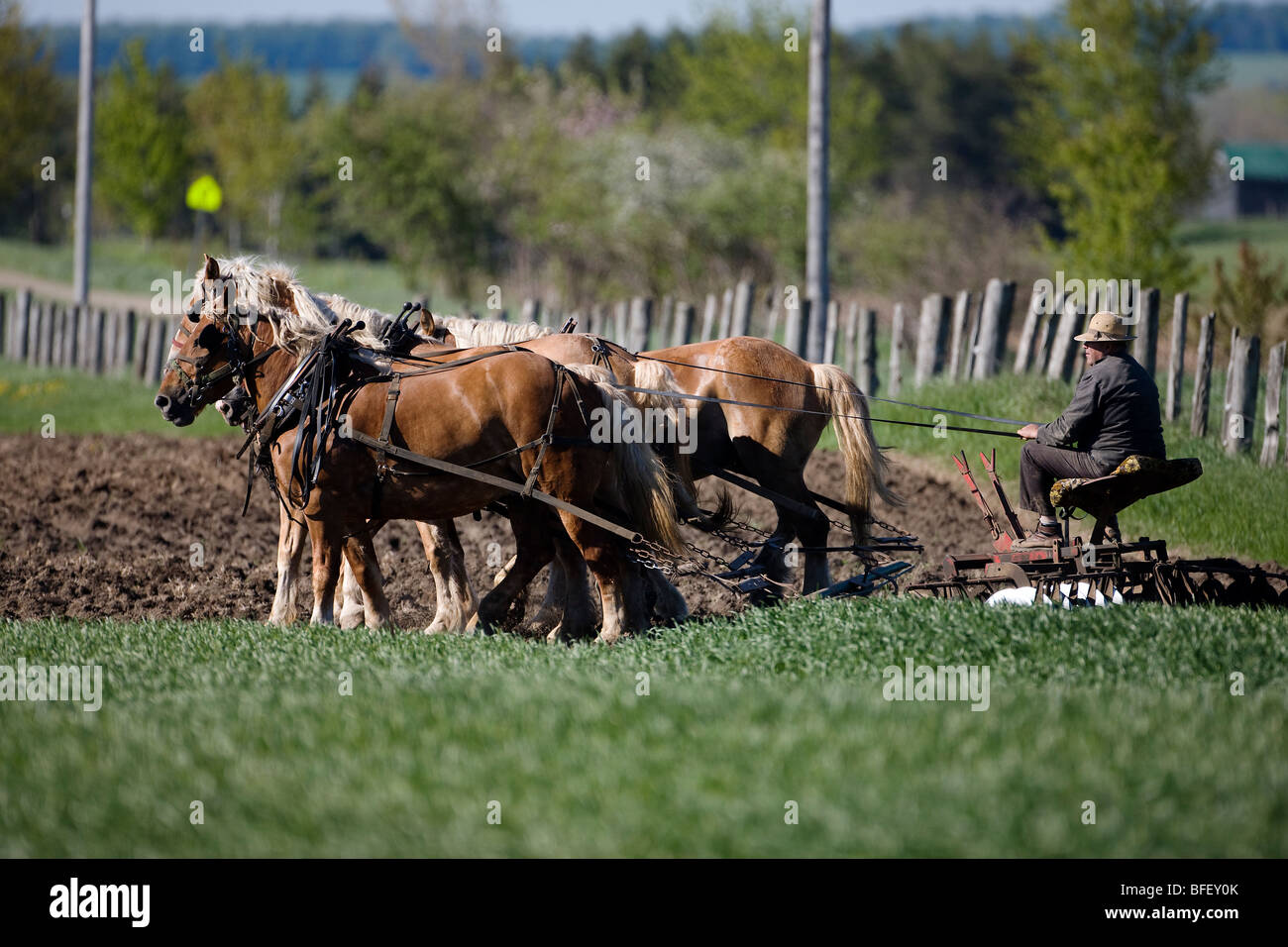 Horse Plough Banque d'image et photos - Alamy