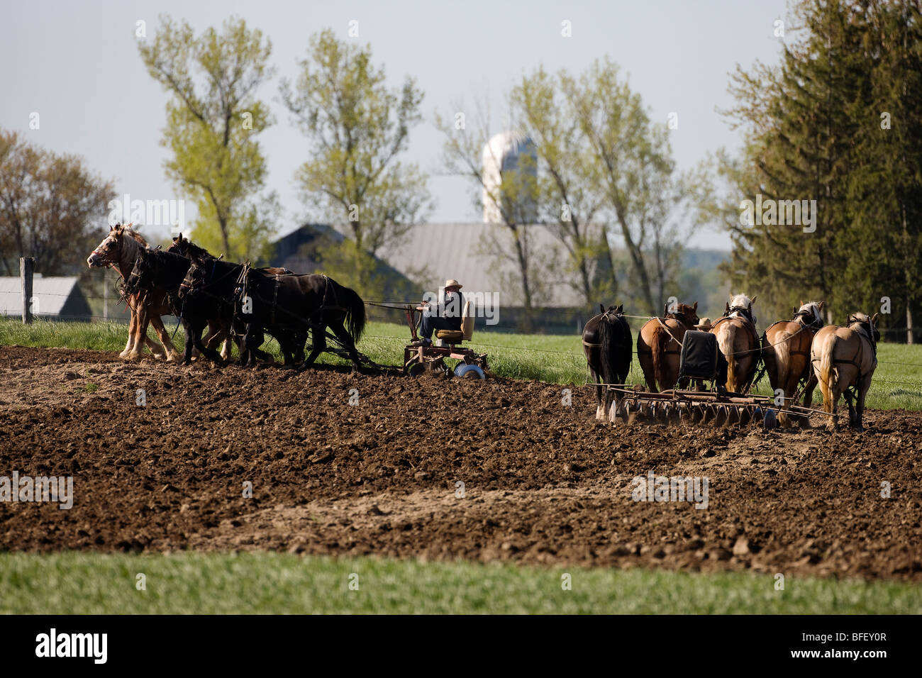 Horse Plough Banque d'image et photos - Alamy