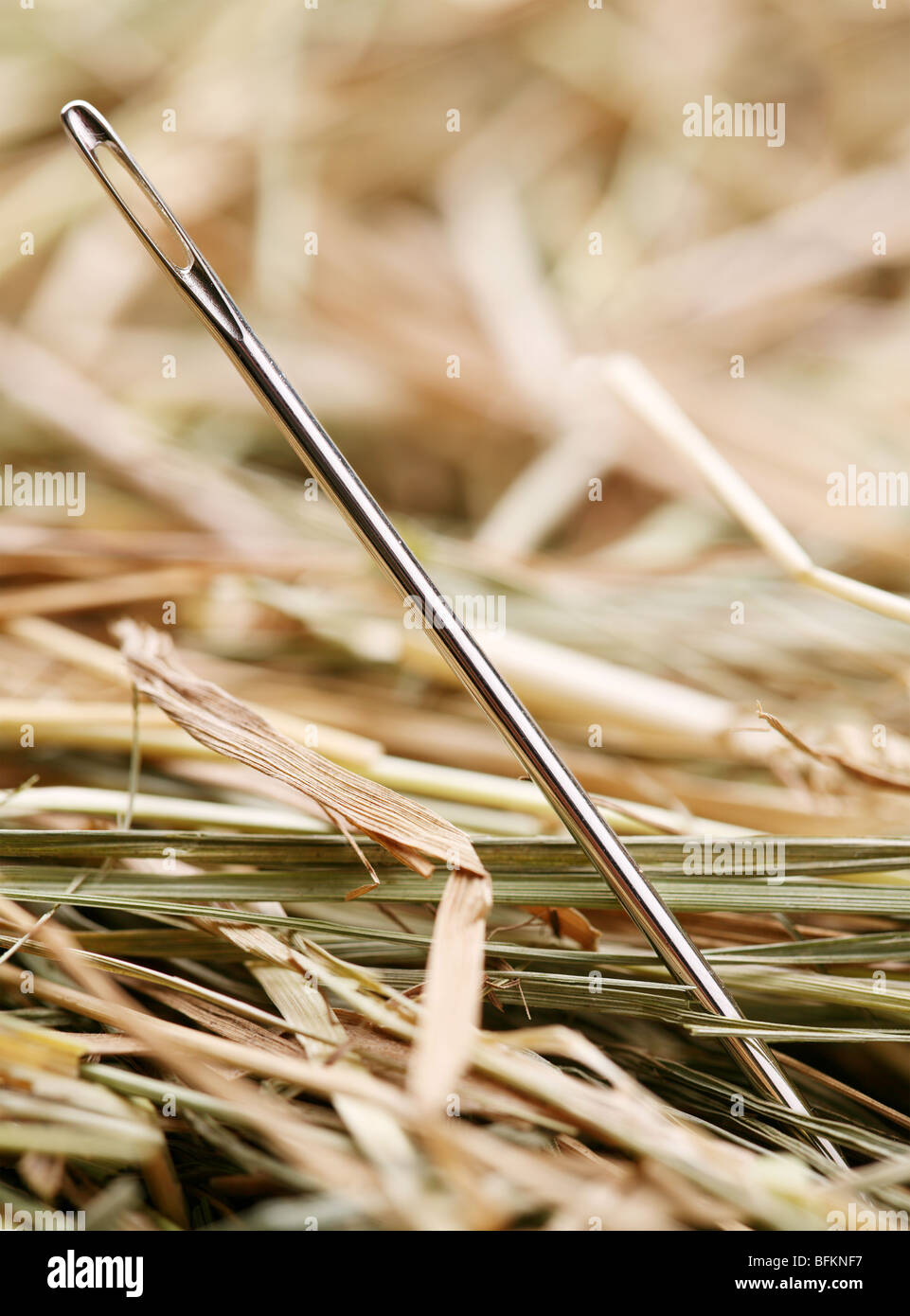Aiguille dans meule foin Banque de photographies et d’images à haute ...
