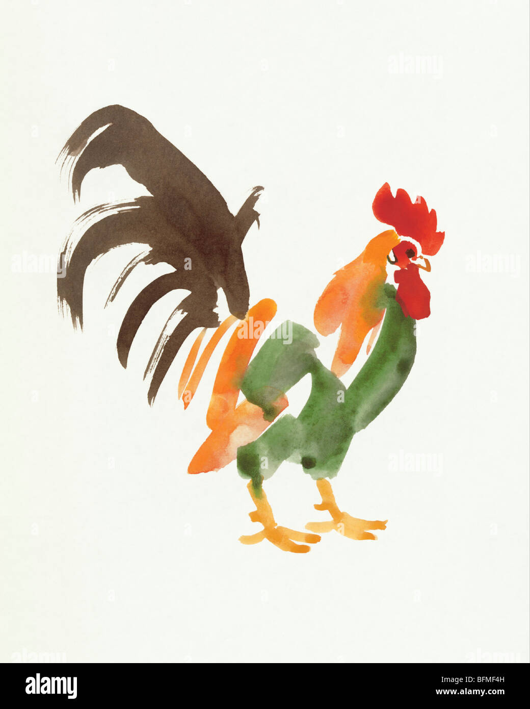 Chicken rooster head side view Banque de photographies et d’images à ...