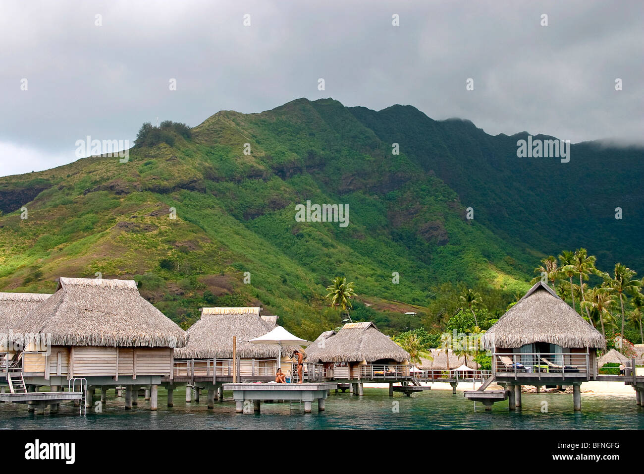 Cabines de chaume Palm sur l'eau, Moorea Pearl Resort, Moorea, Tahiti ...