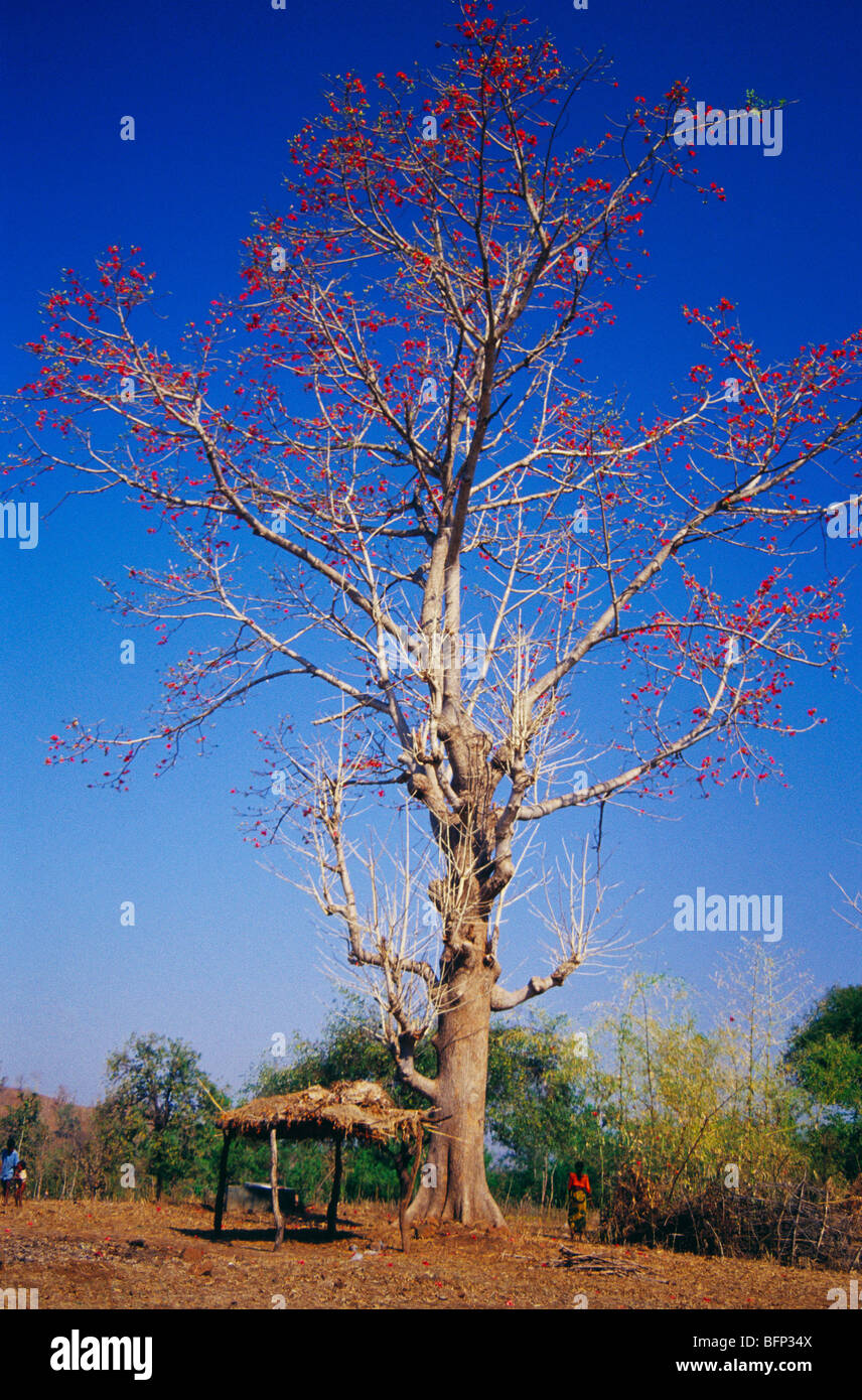 Arbre en coton et soie rouge Banque de photographies et d’images à ...