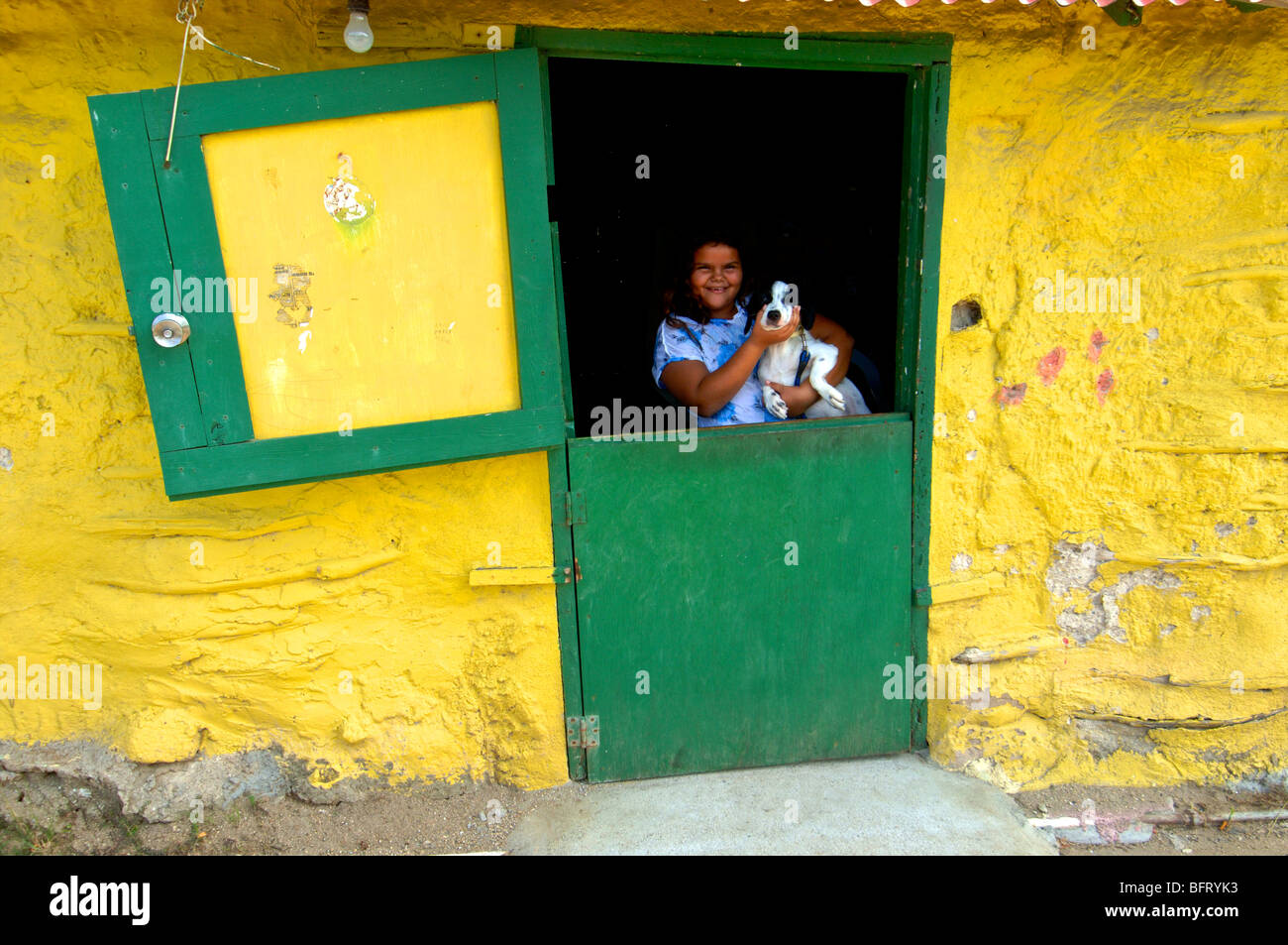 Cunucu chien Banque de photographies et d’images à haute résolution - Alamy