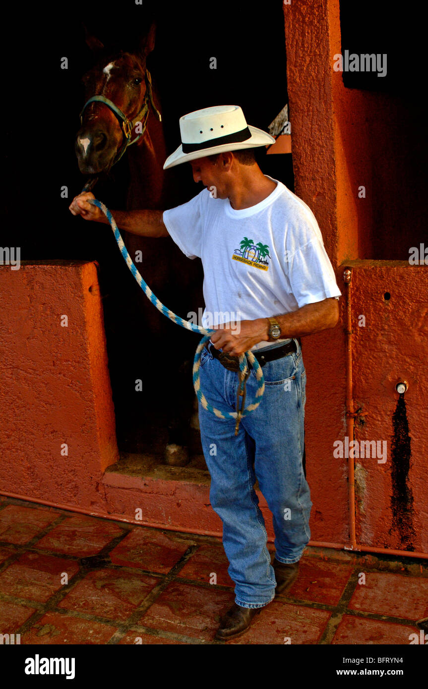 Cheval Ranch Daimari Banque d'image et photos - Alamy