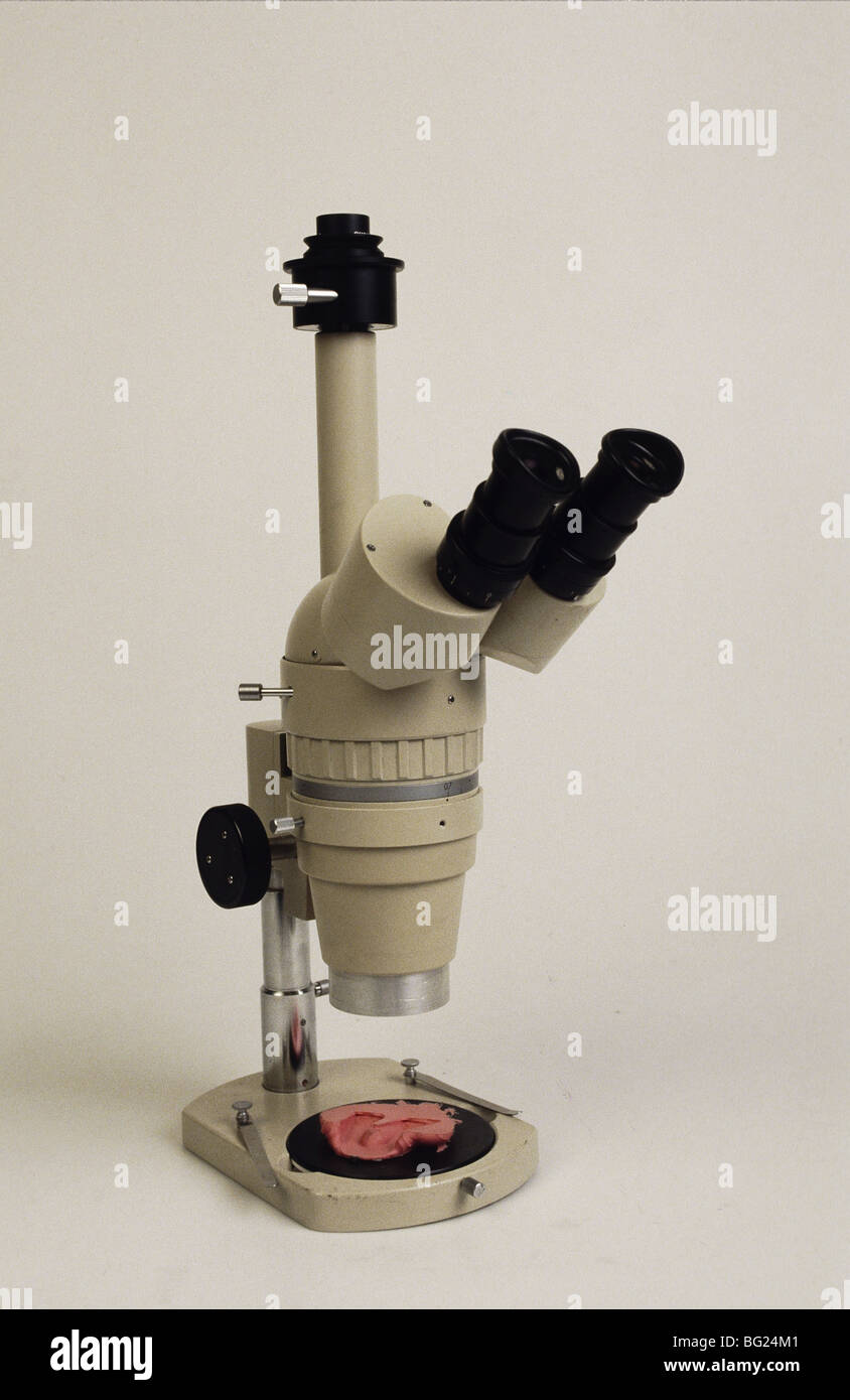 Embout de microscope Banque de photographies et d’images à haute ...