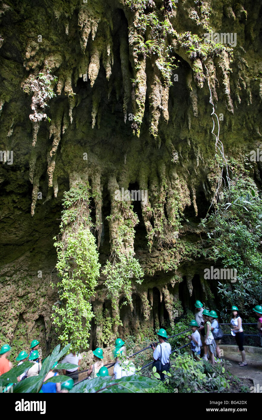 Porto Rico, montagnes centrales, Parque de las Cavernas del Rio Camuy ...