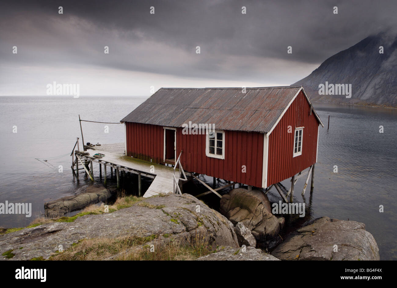 Rorbu (cabane de pêcheur) sur pilotis par fjord, îles Lofoten, Norvège ...