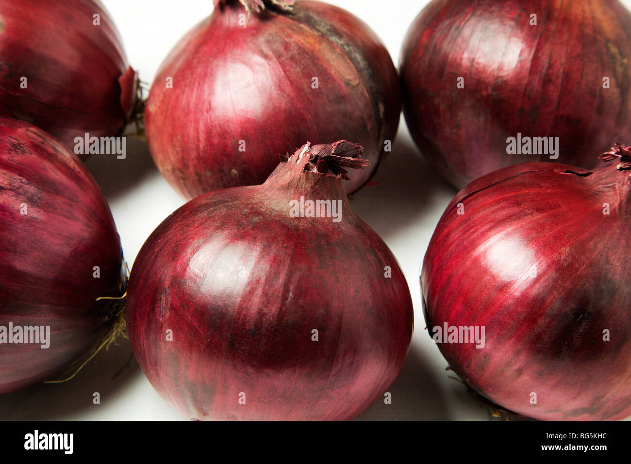Six oignons Banque de photographies et d’images à haute résolution - Alamy