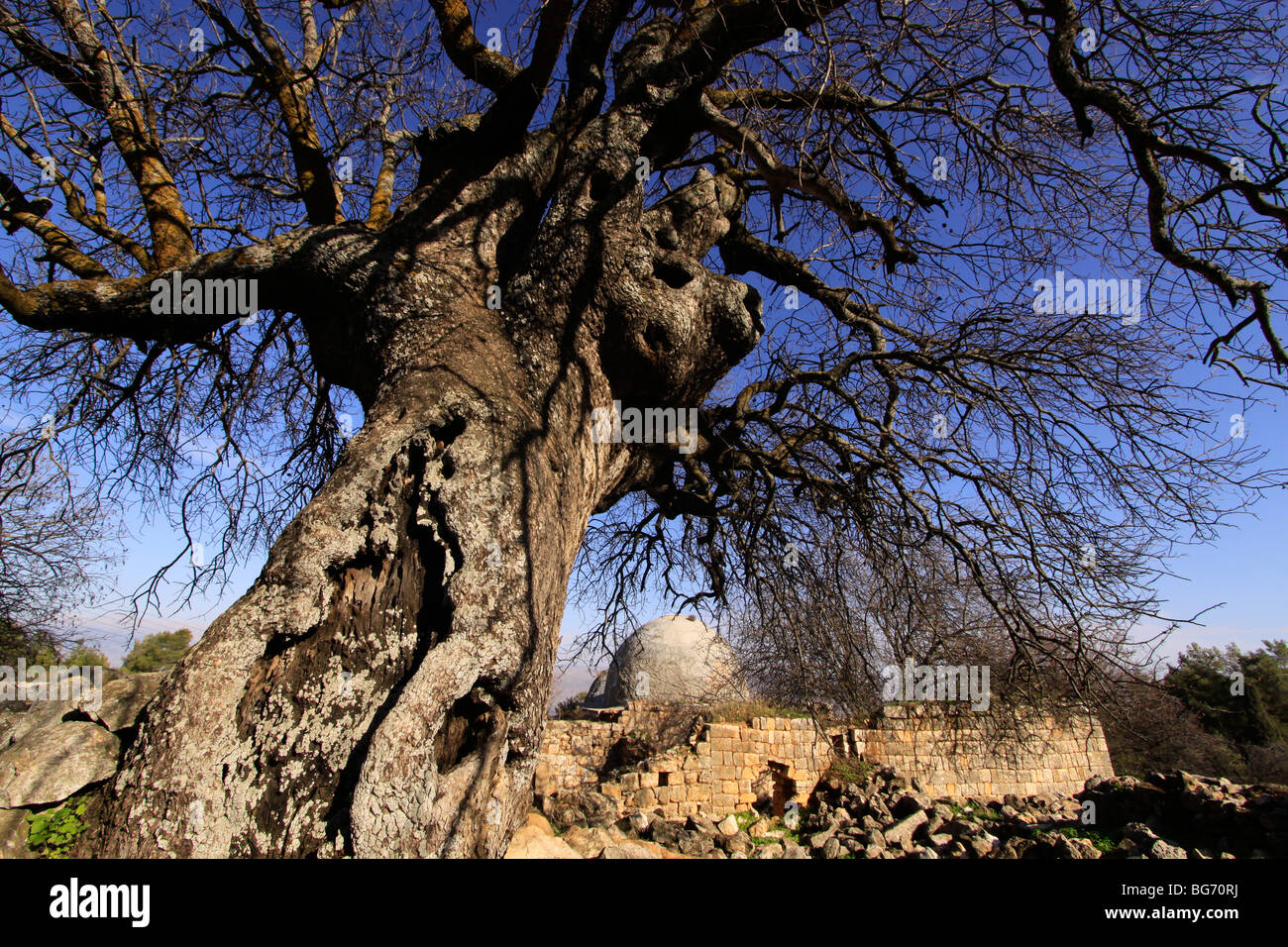 Hi308 306 Banque de photographies et d’images à haute résolution - Alamy