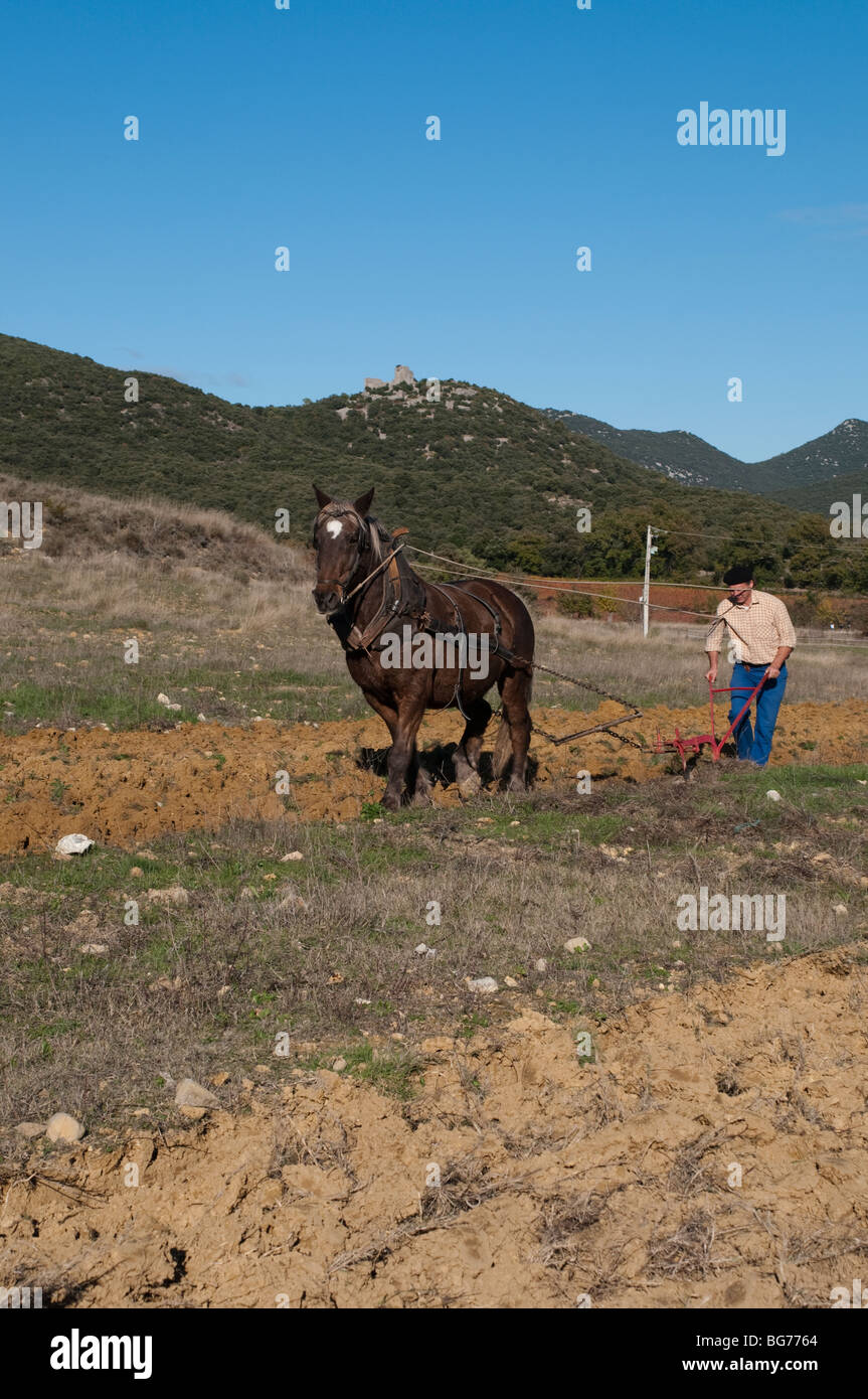 Labour de cheval traditionnel Banque de photographies et d’images à ...