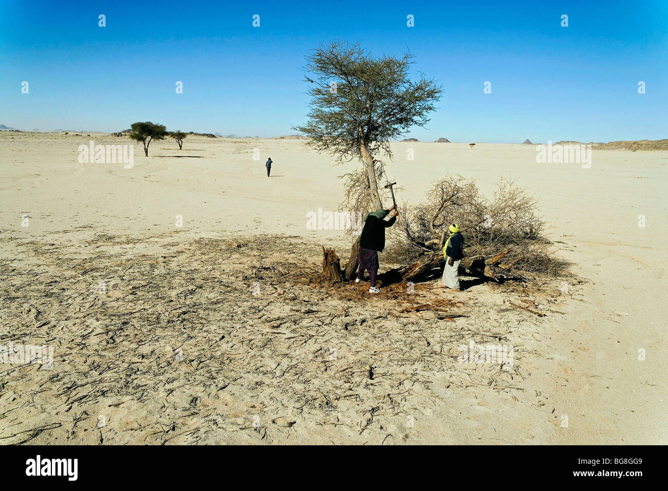 Plateau du tassili najjer Banque de photographies et d’images à haute résolution - Alamy