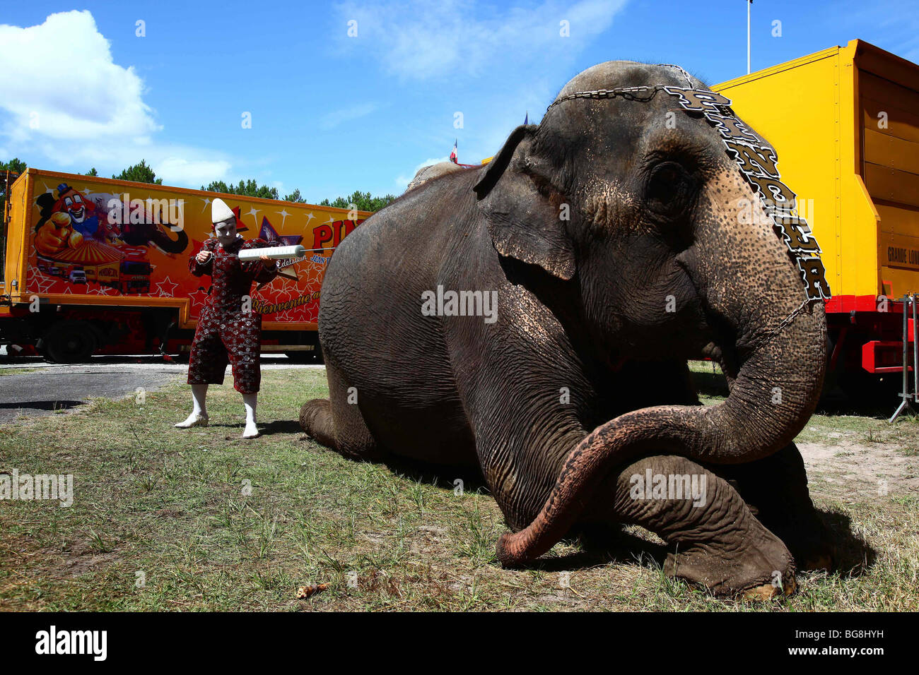 Cirque pinder Banque de photographies et d’images à haute résolution ...