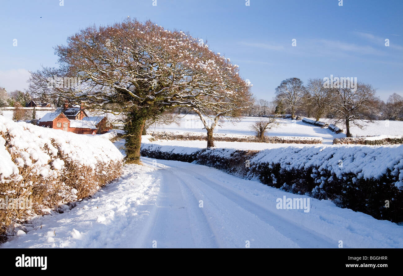 Chemin de campagne dans la neige Banque de photographies et d’images à ...