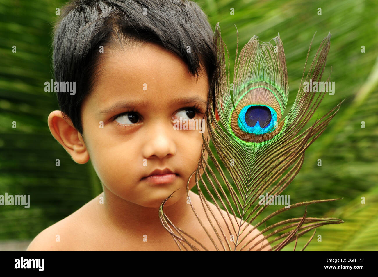 Bébé paon Banque de photographies et d’images à haute résolution - Alamy