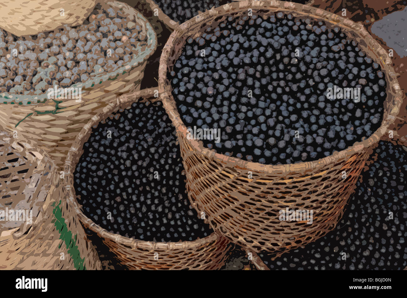 Oenocarpus bacaba Banque de photographies et d’images à haute ...