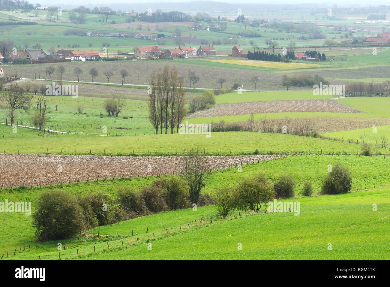 Bocage landscape with hedges and trees Banque de photographies et d ...