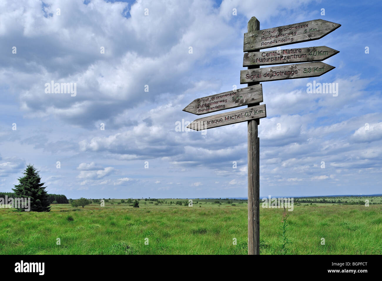Panneau en bois pour les promeneurs dans les Hautes Fagnes / Hautes ...