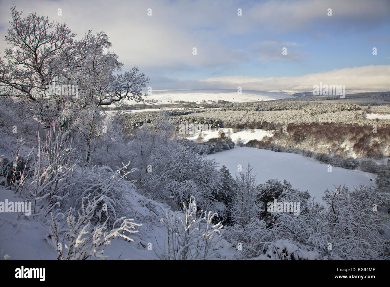 Cropton forest Banque de photographies et d’images à haute résolution ...
