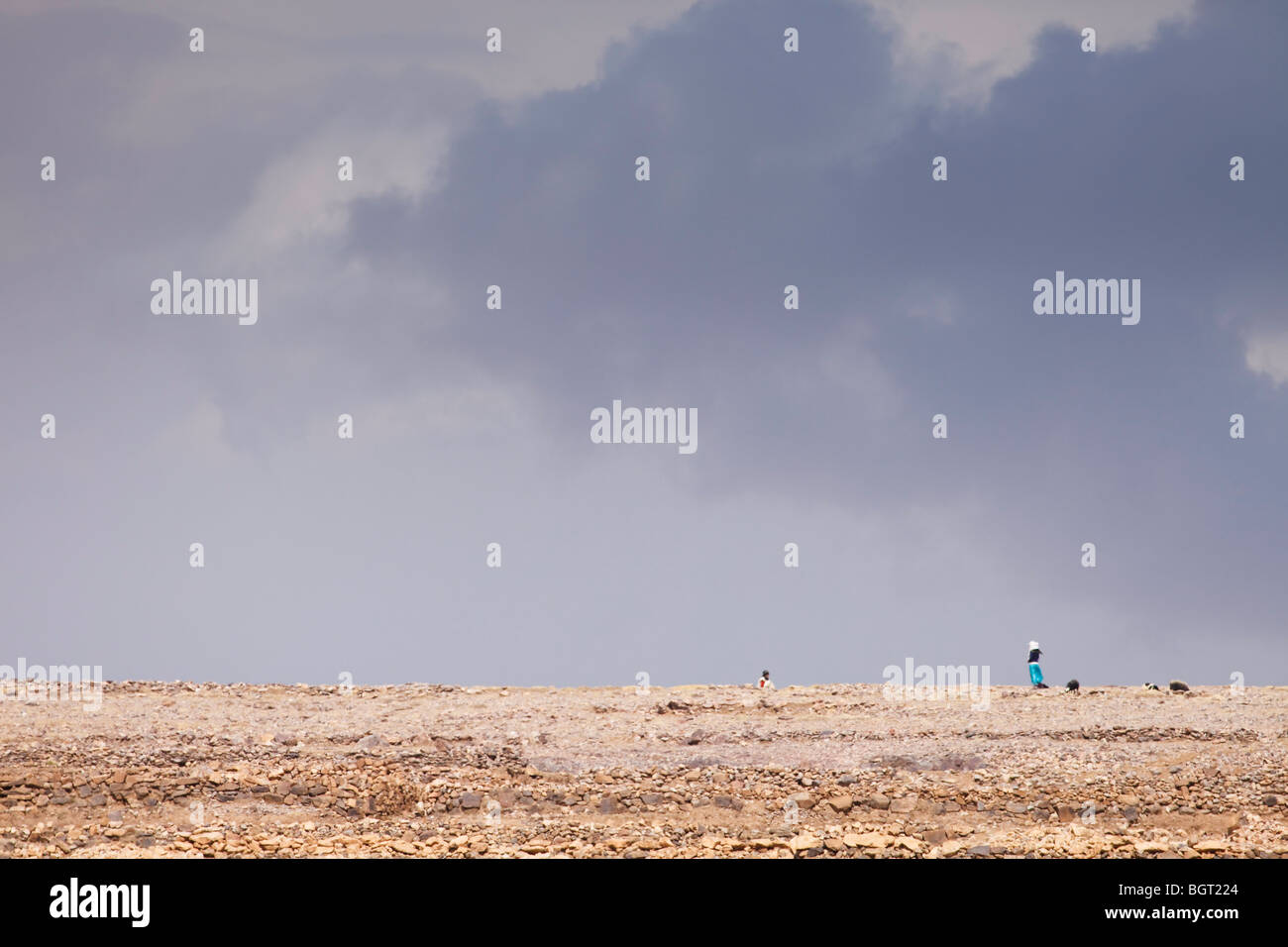 Middle east and shepherd Banque de photographies et d’images à haute ...