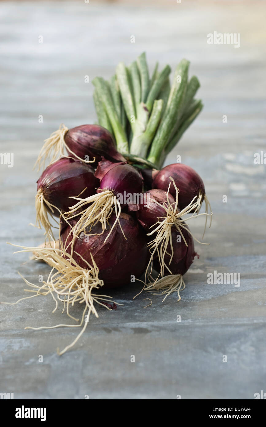 L'oignon Rouge Banque d'image et photos - Alamy