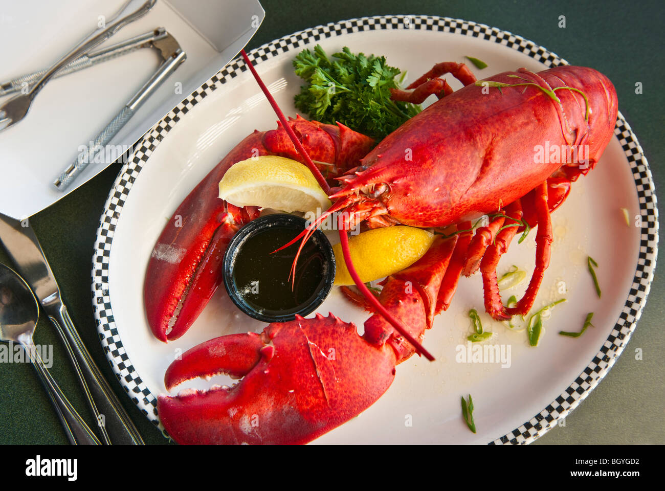 Assiette de homard Banque de photographies et d’images à haute ...