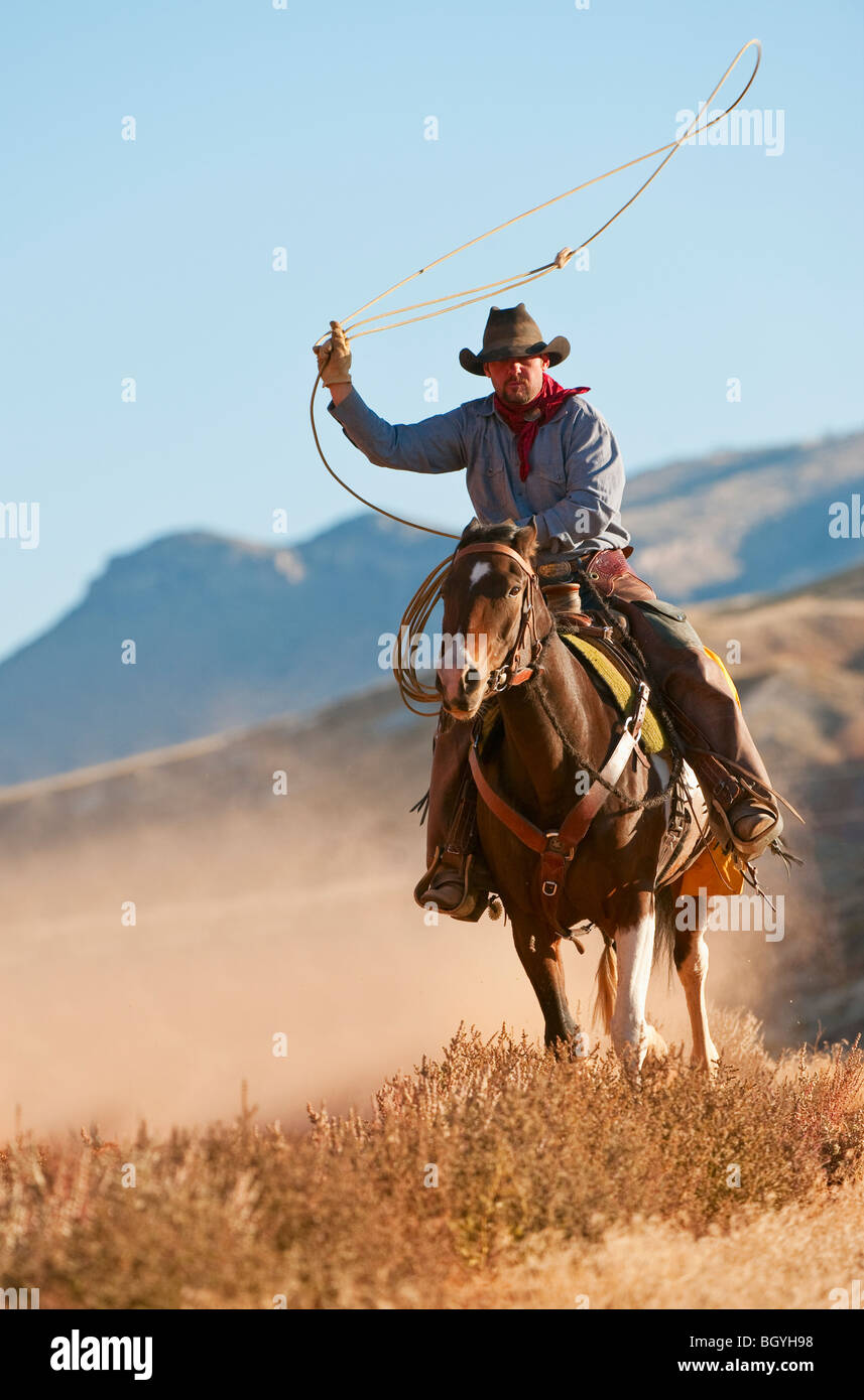 Cow boy et son cheval Banque de photographies et d’images à haute ...