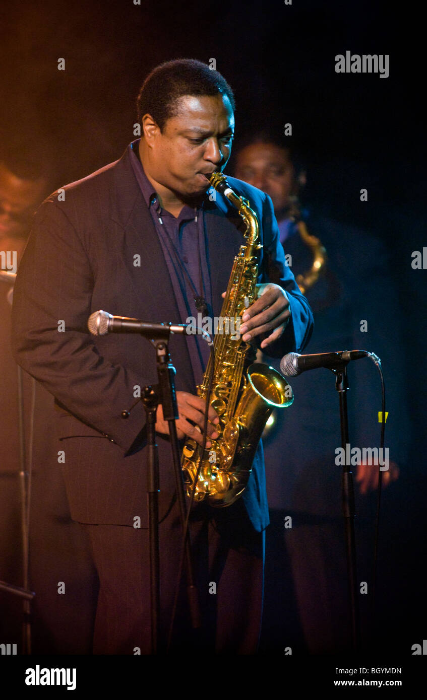 Joueur de saxophone alto Banque de photographies et d’images à haute ...
